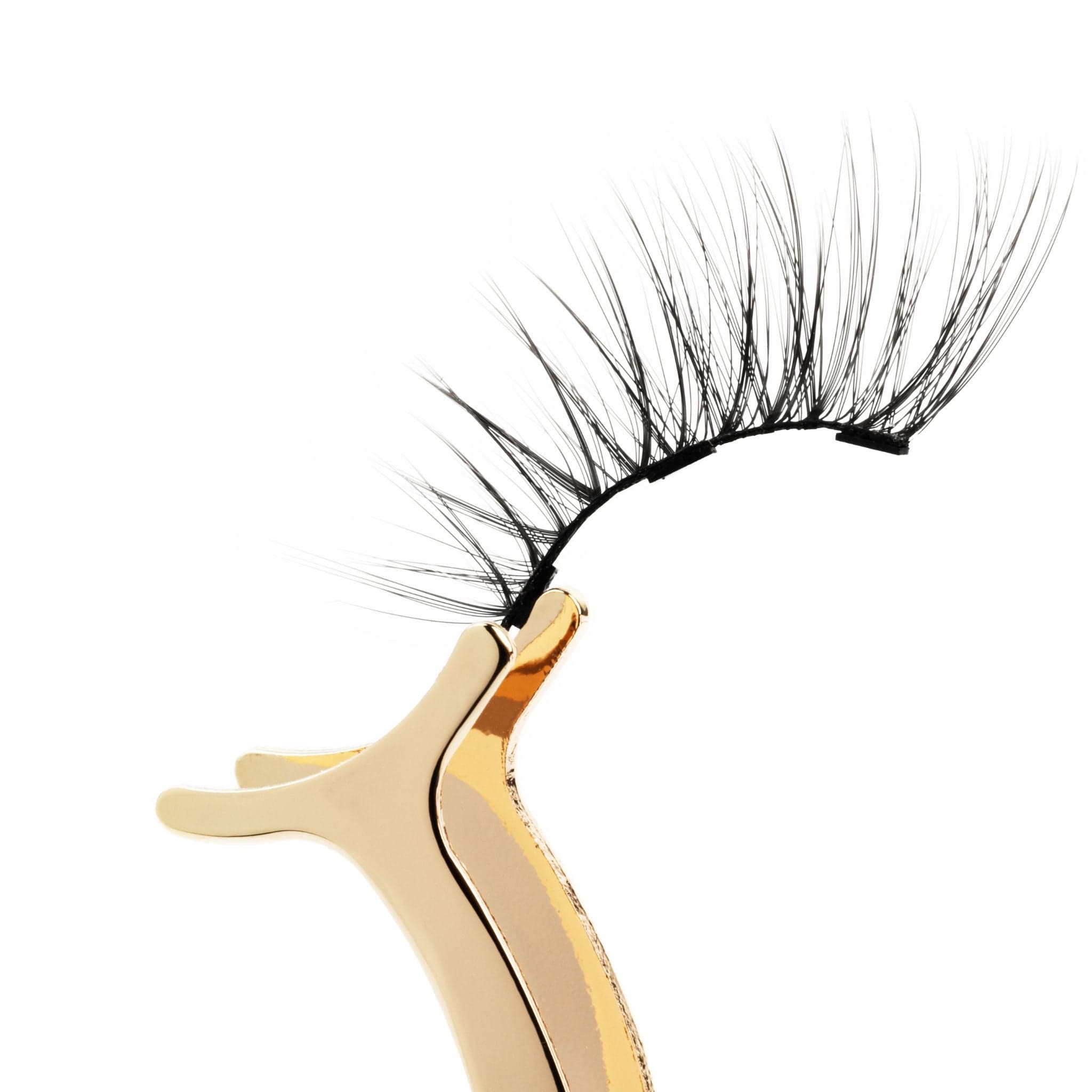 Petite Lash & Lash Grip Eyeliner Kit - Customizable Eyeliner Color